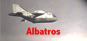 Albatros
